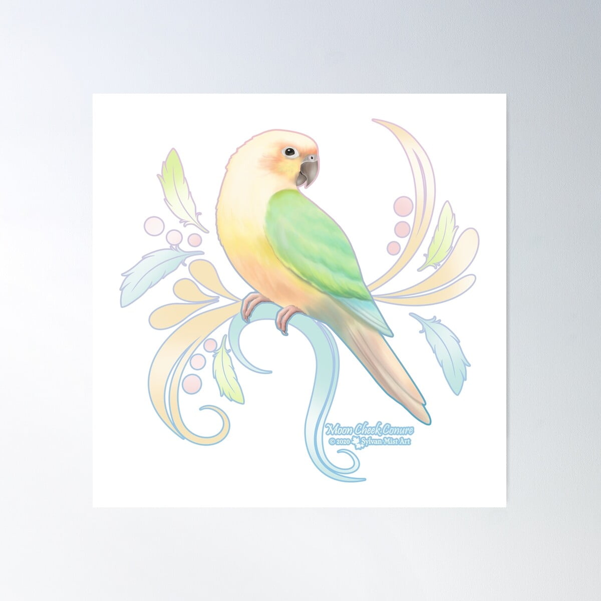 Moon Cheek Conure Poster Wall Art, Modern Wall Decor For Living Room ...