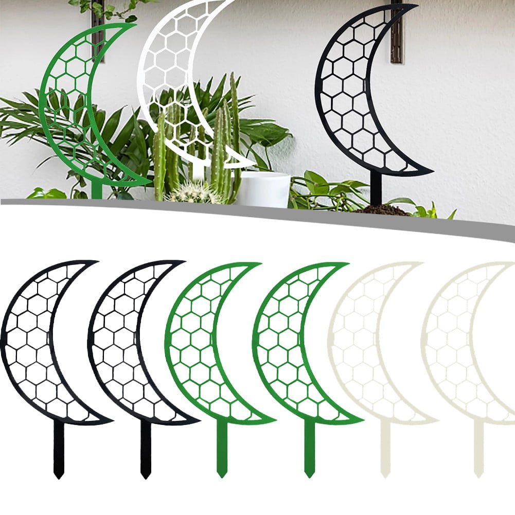 Moon Climbing Vine Bracket Plant Climbing Support Garden Potted Plant ...