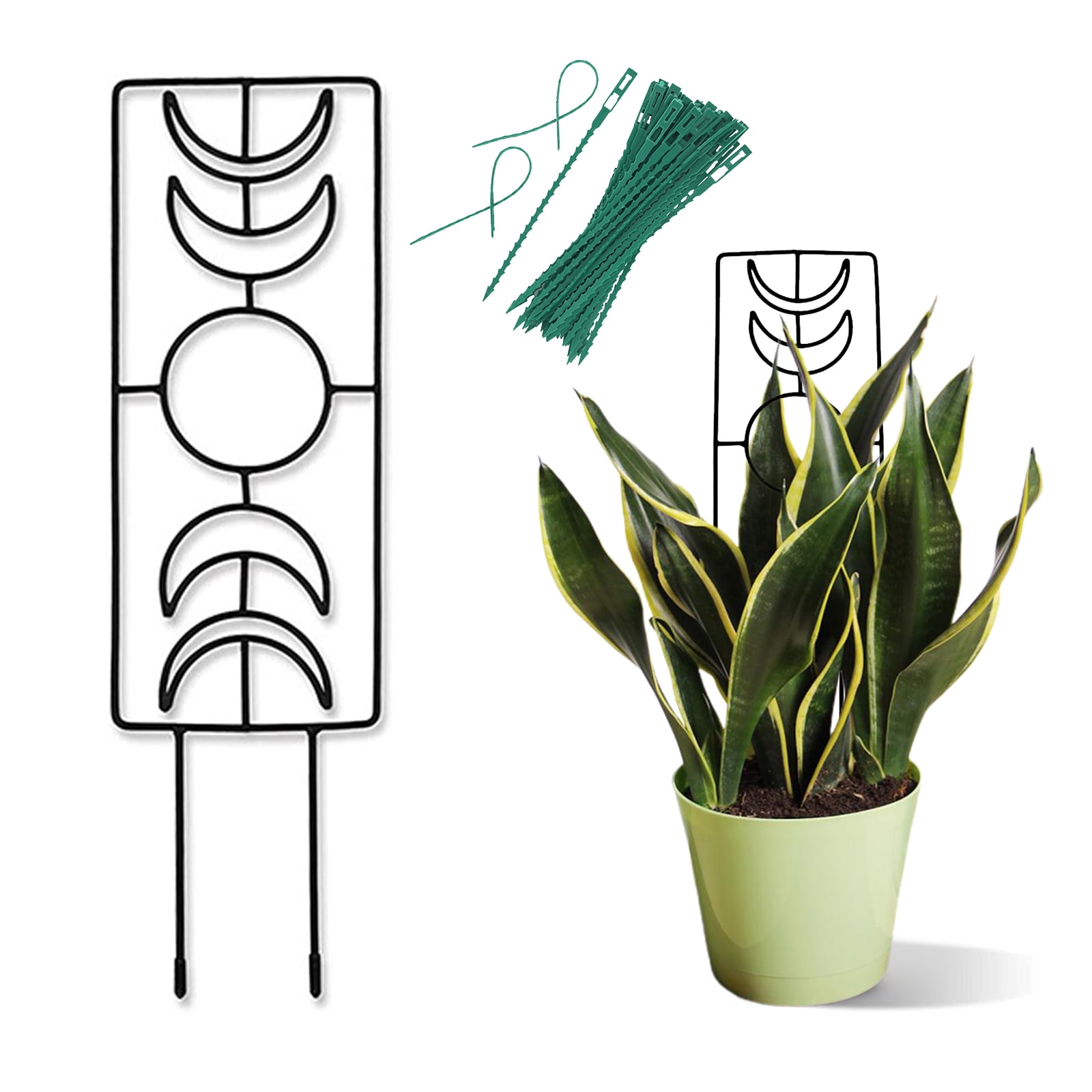 Moon Phase Trellis Indoor Plant Trellis Climbing Plant Mini Garden ...