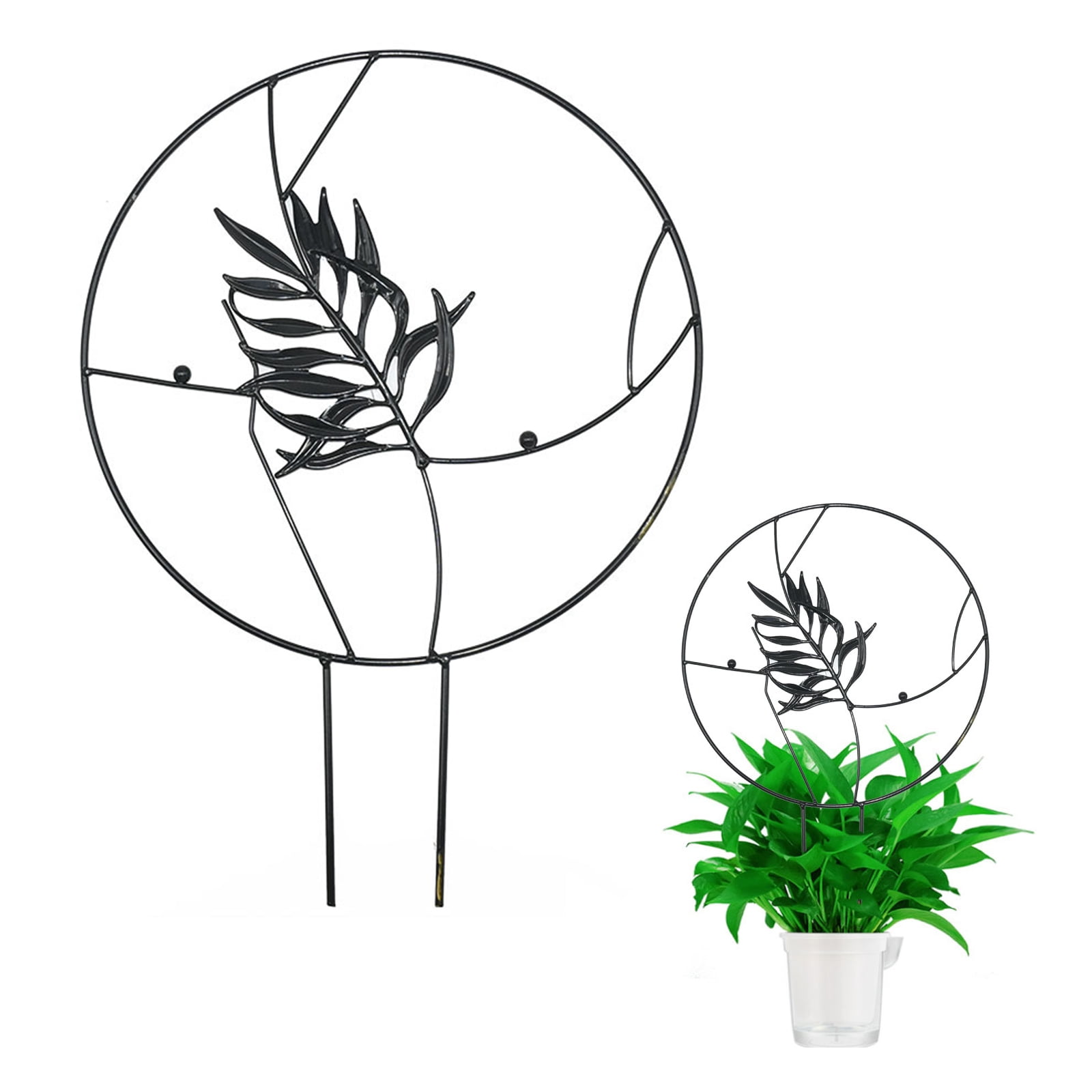 Moon Phase Trellis Indoor Plant Trellis Climbing Plant Small Garden ...