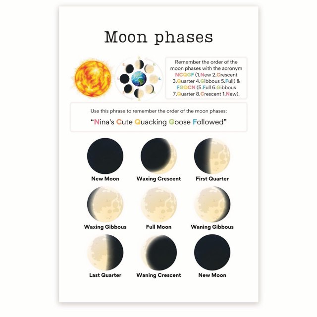 Moon Phases Chart Poster - Learning the Planets Moon - Science ...