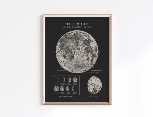 Moon Phases Printable Vintage Moon Poster Moon Phases Print Lunar ...