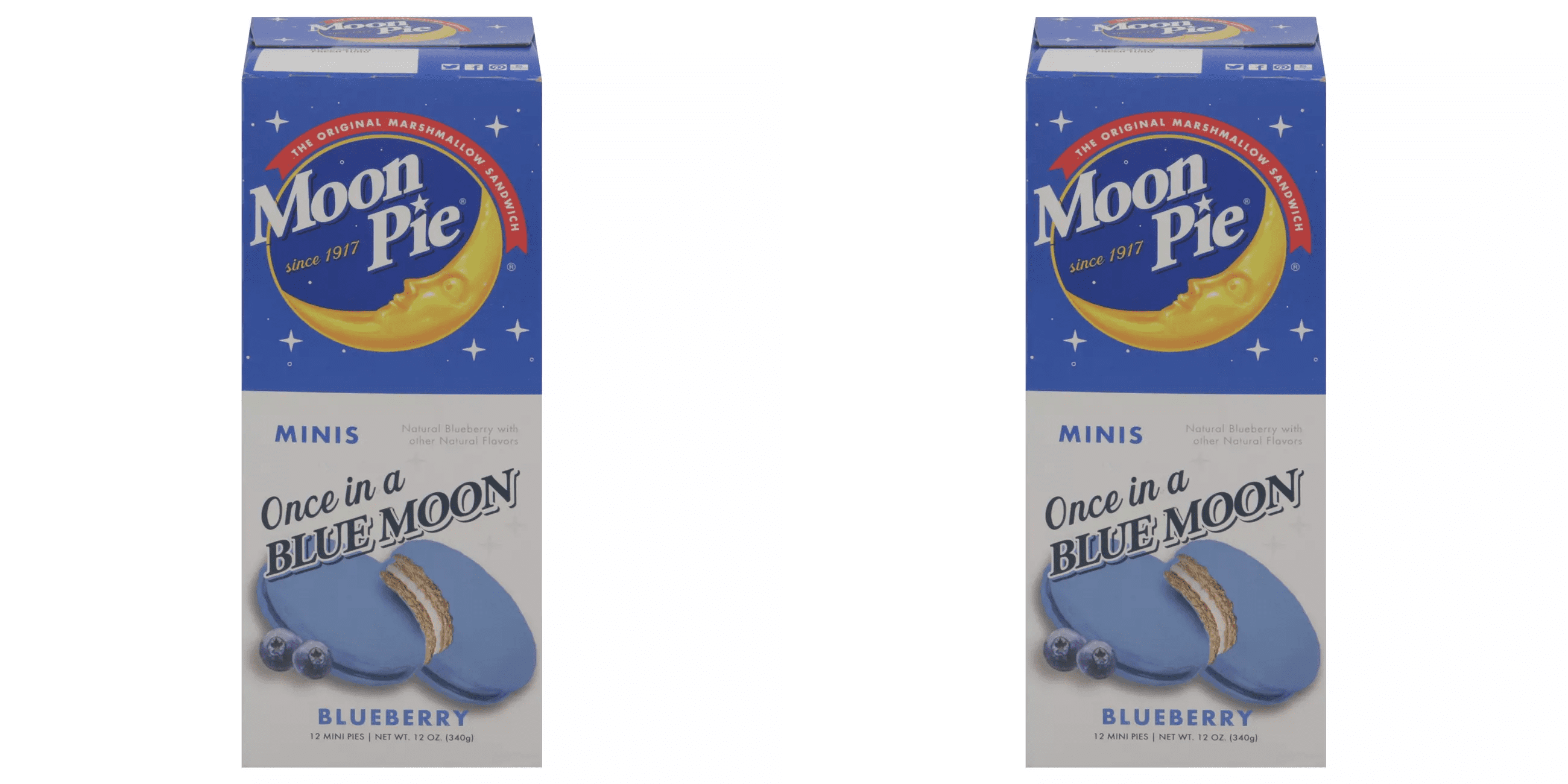 Moon Pie Mini Blueberry, 12 ct pack of 2, Mini Blueberry Moon Pie, Moon Pie Snacks, Blueberry ...
