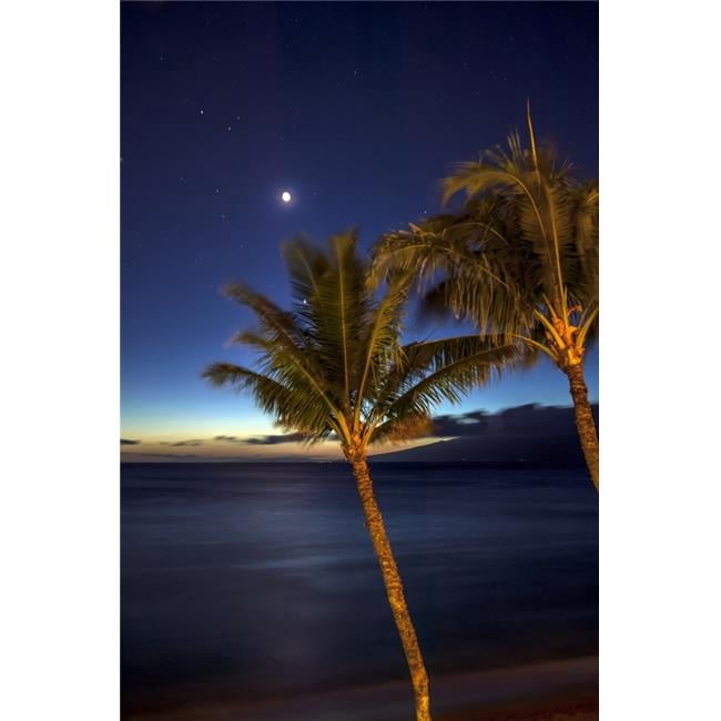 Moon & Stars in The Night Sky with Palm Trees Along The Coast in The ...