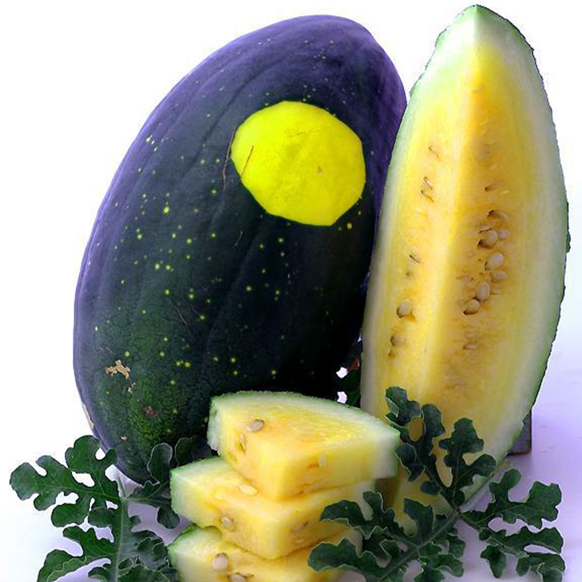 Moon & Stars Yellow Flesh Watermelon - 1/4 LB ~1,600 Seeds - Heirloom ...