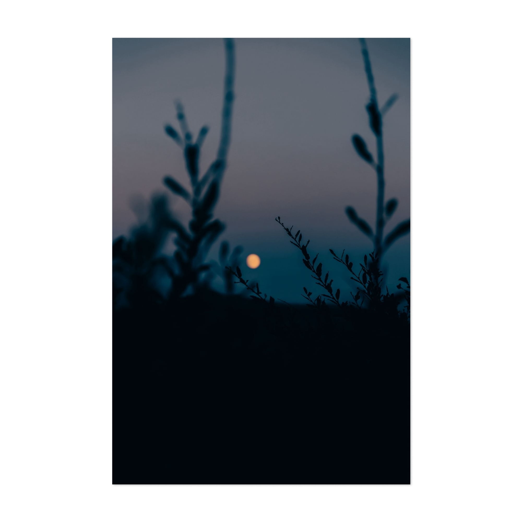Moonlight - Photography Moon Night Sky Nature Minimalist Landscape ...