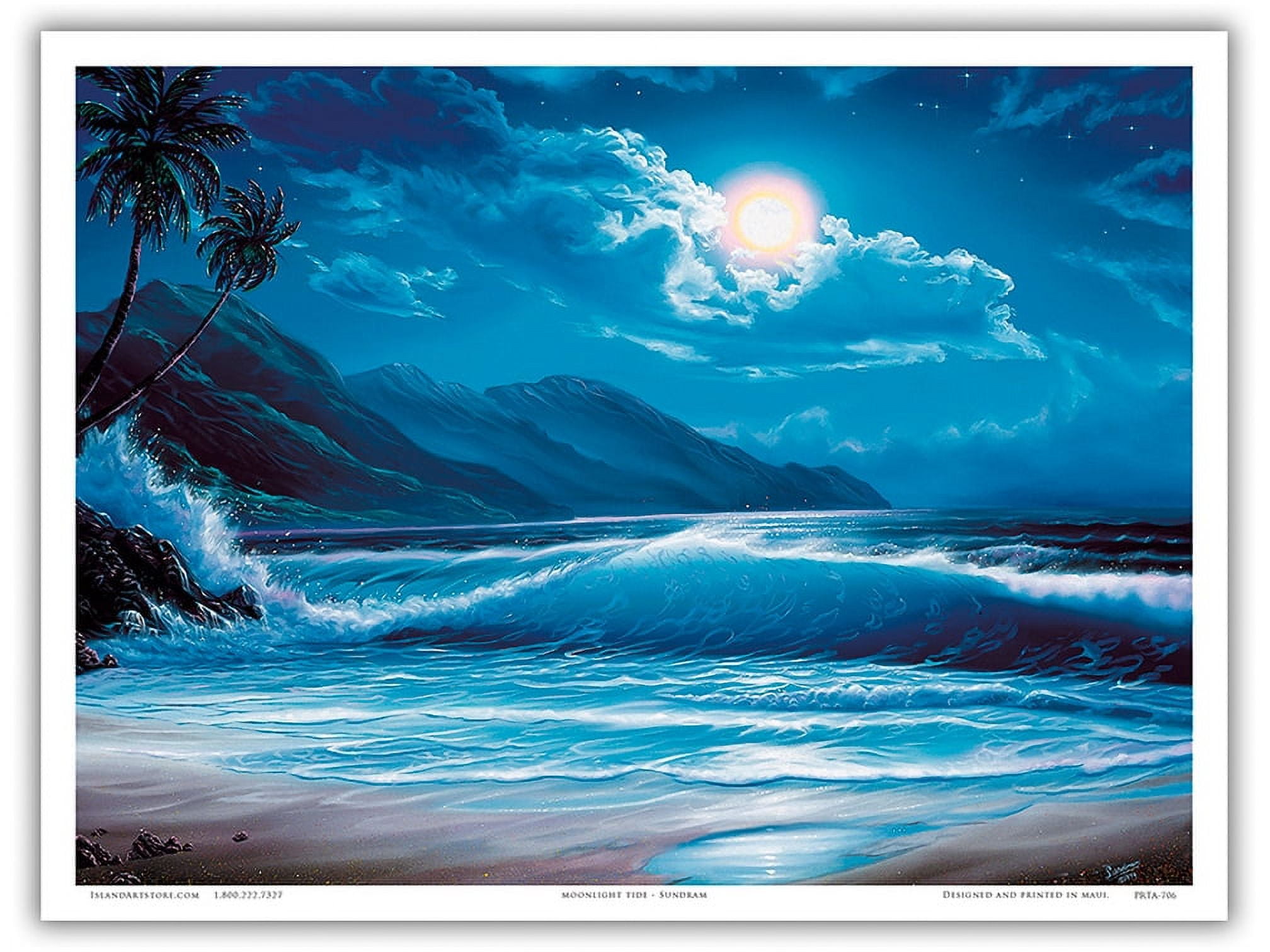 Moonlight Tide - Hawaiian Moonlit Waves - From an Original Color ...