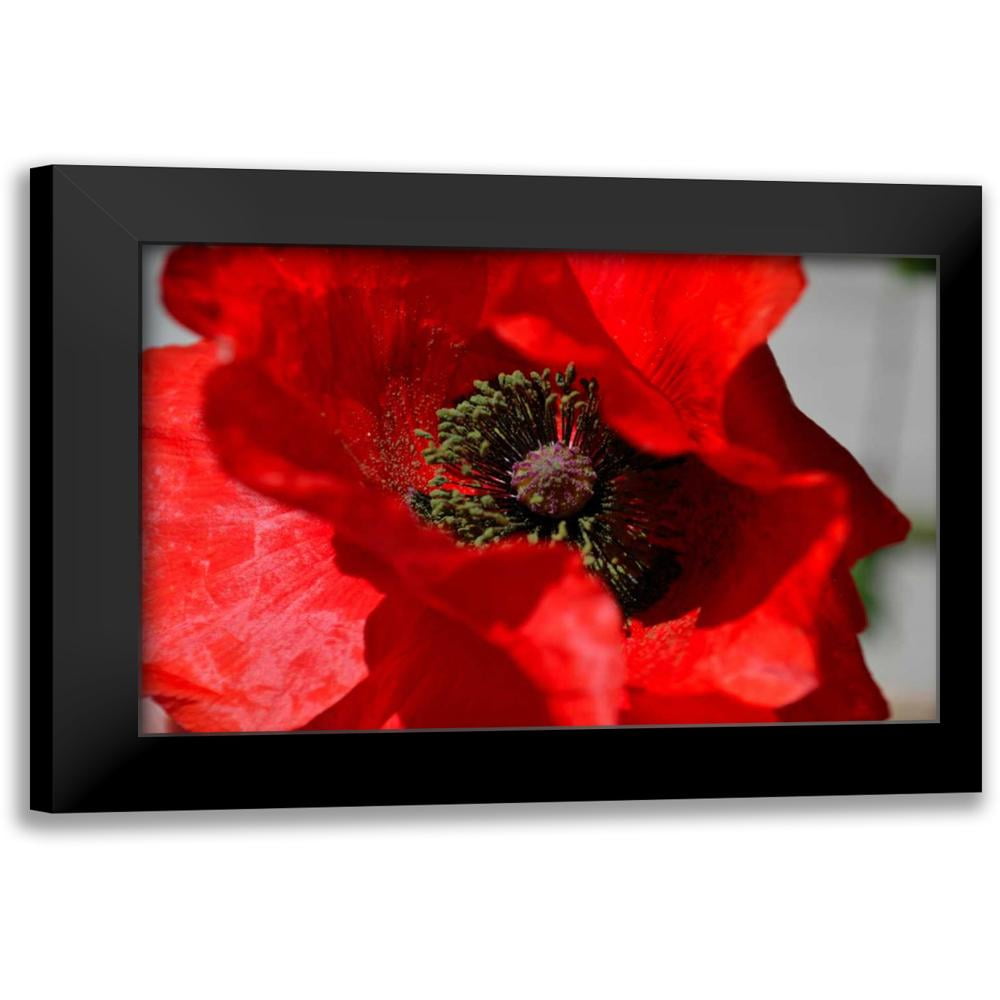 Moore, Brian 14x11 Black Modern Framed Museum Art Print Titled - Red ...