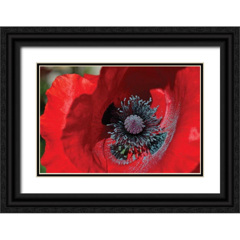 Moore, Brian 14x11 Black Ornate Wood Framed with Double Matting Museum ...