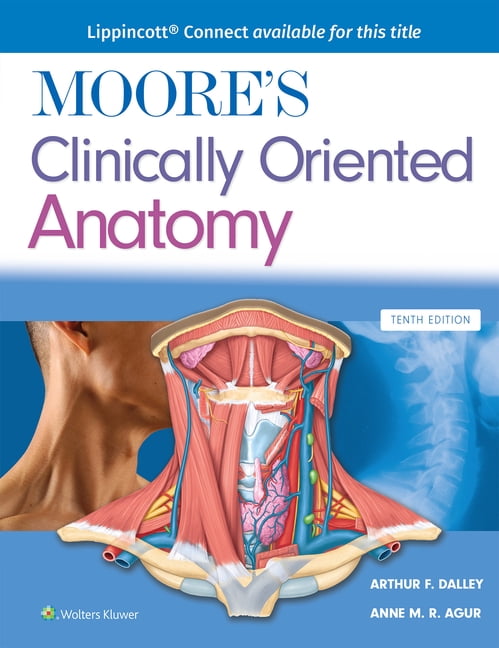 Lippincott Connect Moore's Clinically Oriented Anatomy, (Paperback ...