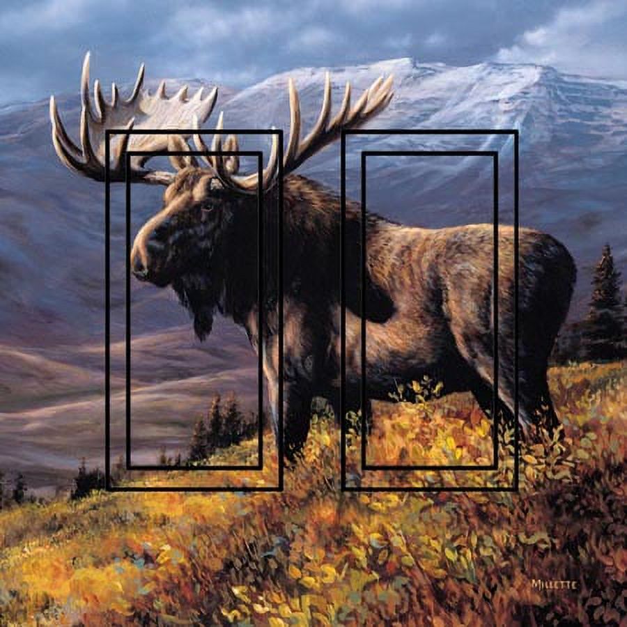 Moose 1A Double Rocker SwitchStix Peel and Stick Art Deco Switch Plate ...