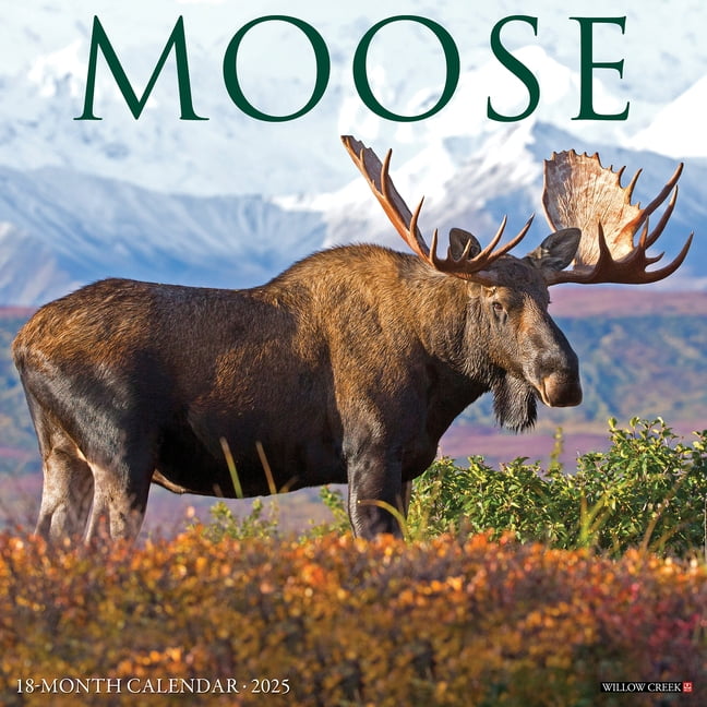 Moose Calendars