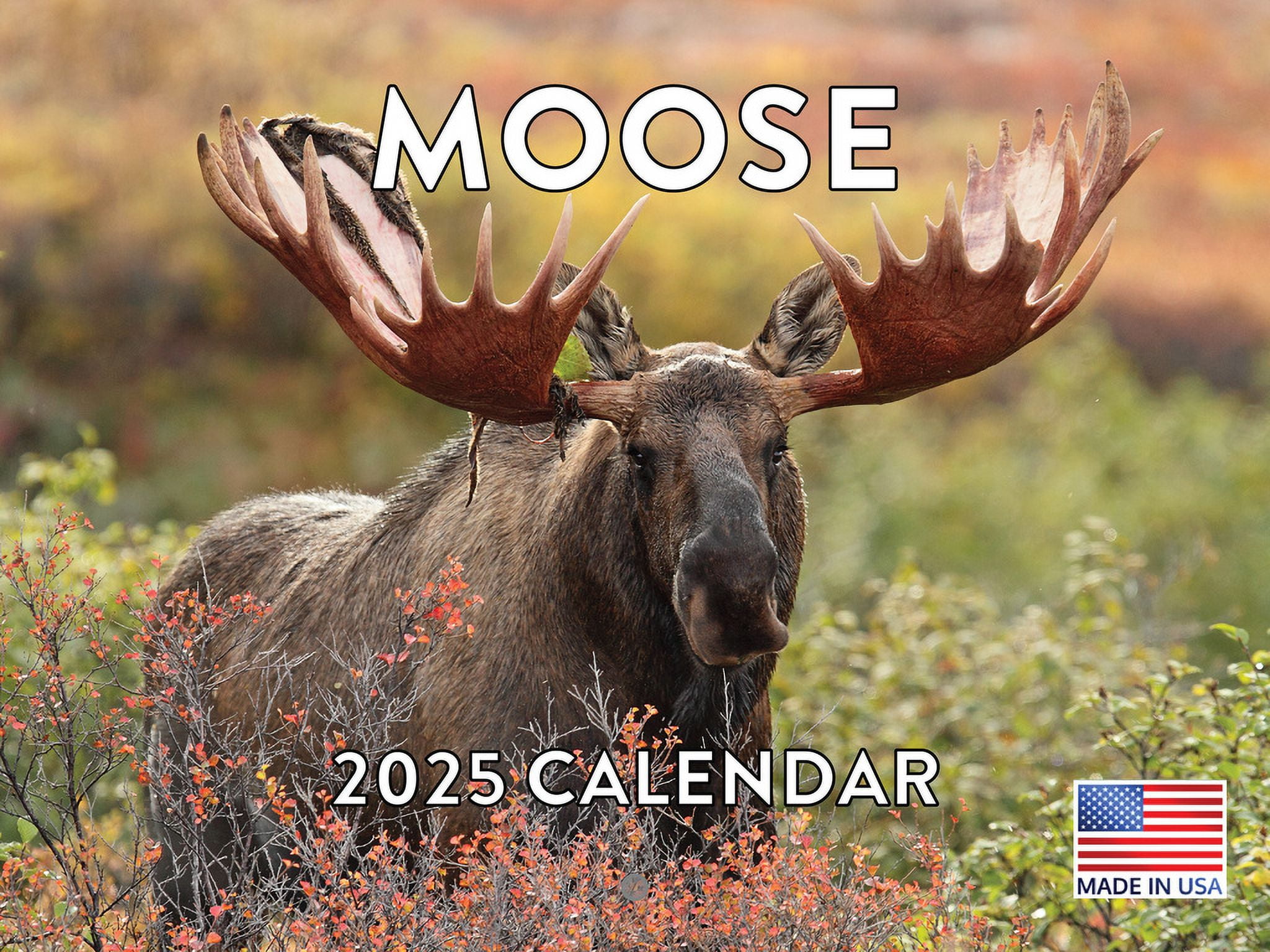 Moose Calendar 2025 Wild Animal Monthly Wall Calender 12 Month ...