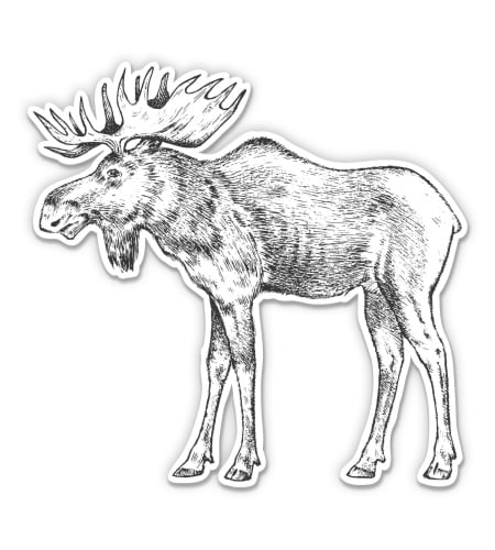 Moose Drawing - 12" Vinyl Sticker Waterproof Decal - Walmart.com