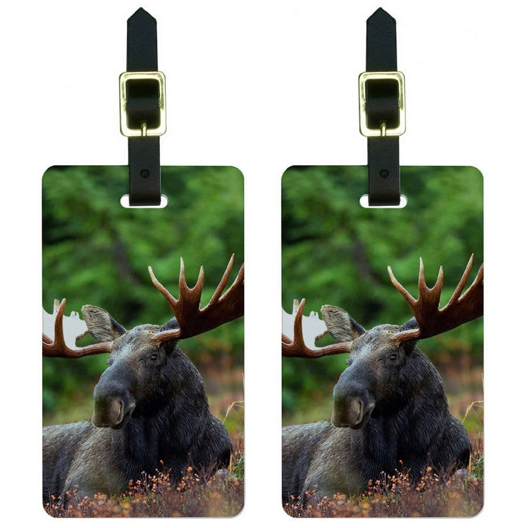 Moose Male Bull Antlers Luggage Tags Suitcase Carry-On ID, Set of 2 ...