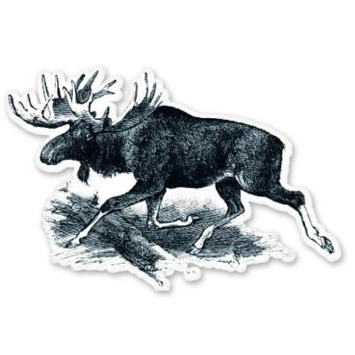 Moose Running Vintage Drawing Car Sticker Phone Decal Water Bottle ...