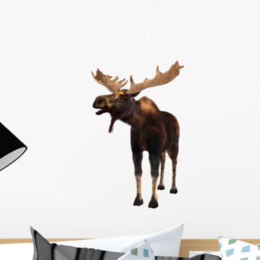 3D Summerl Tree Wall Decal by Wallmonkeys Peel and Stick Graphic (18 in ...