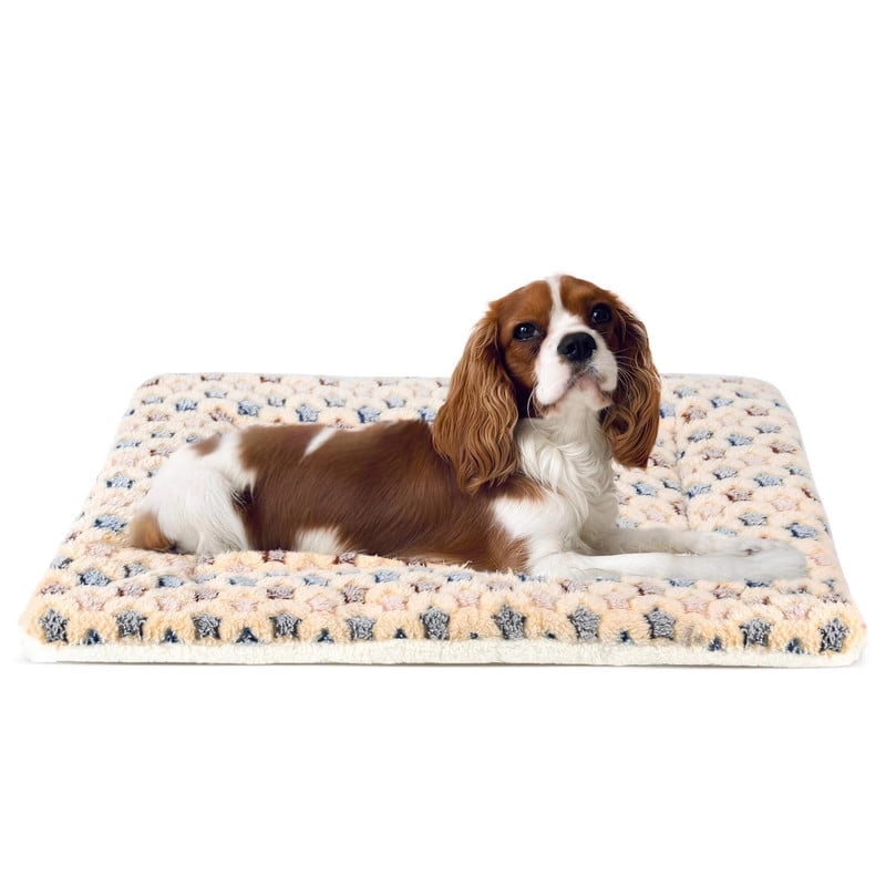 Mora Pets Dog Crate Mats with Cute Star Pattern Washable Pet Bed for ...