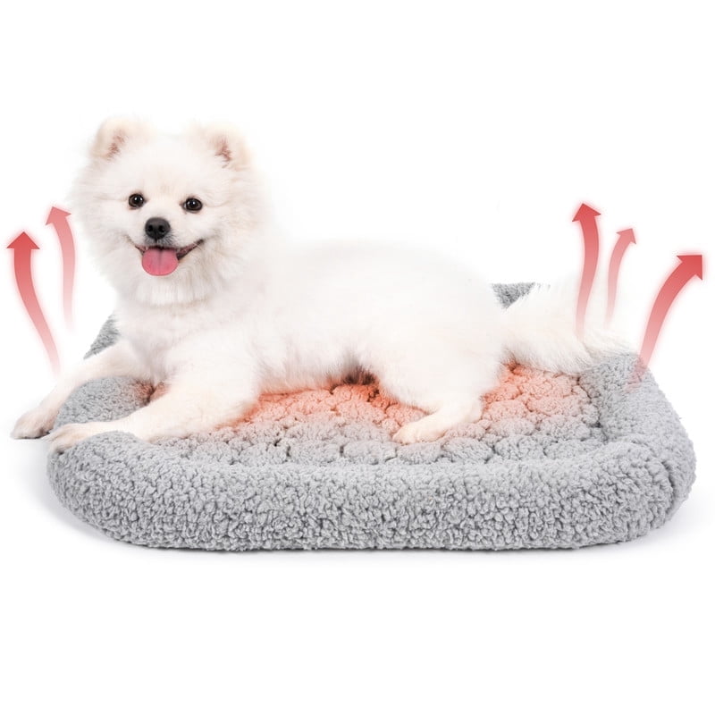 Mora Pets Self Warming Bolster Cat Bed with Anti-Slip Bottom, Fluffy ...