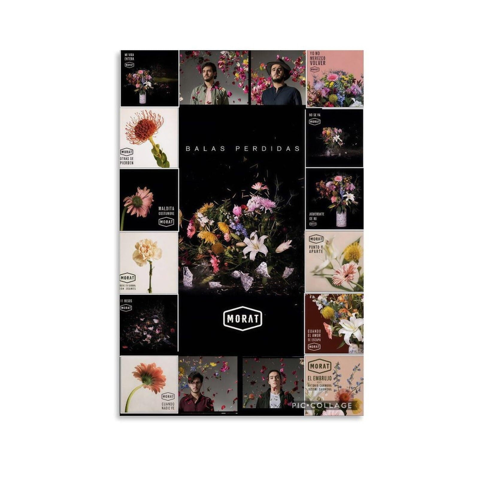 Morat Canvas Poster Mural Decor Printing Picture Painting Living Room ...