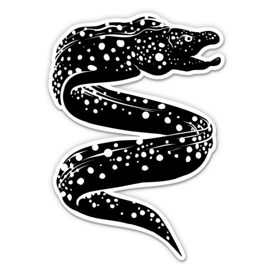 Moray Eel - 8" Vinyl Sticker - For Car Laptop I-Pad - Waterproof Decal ...