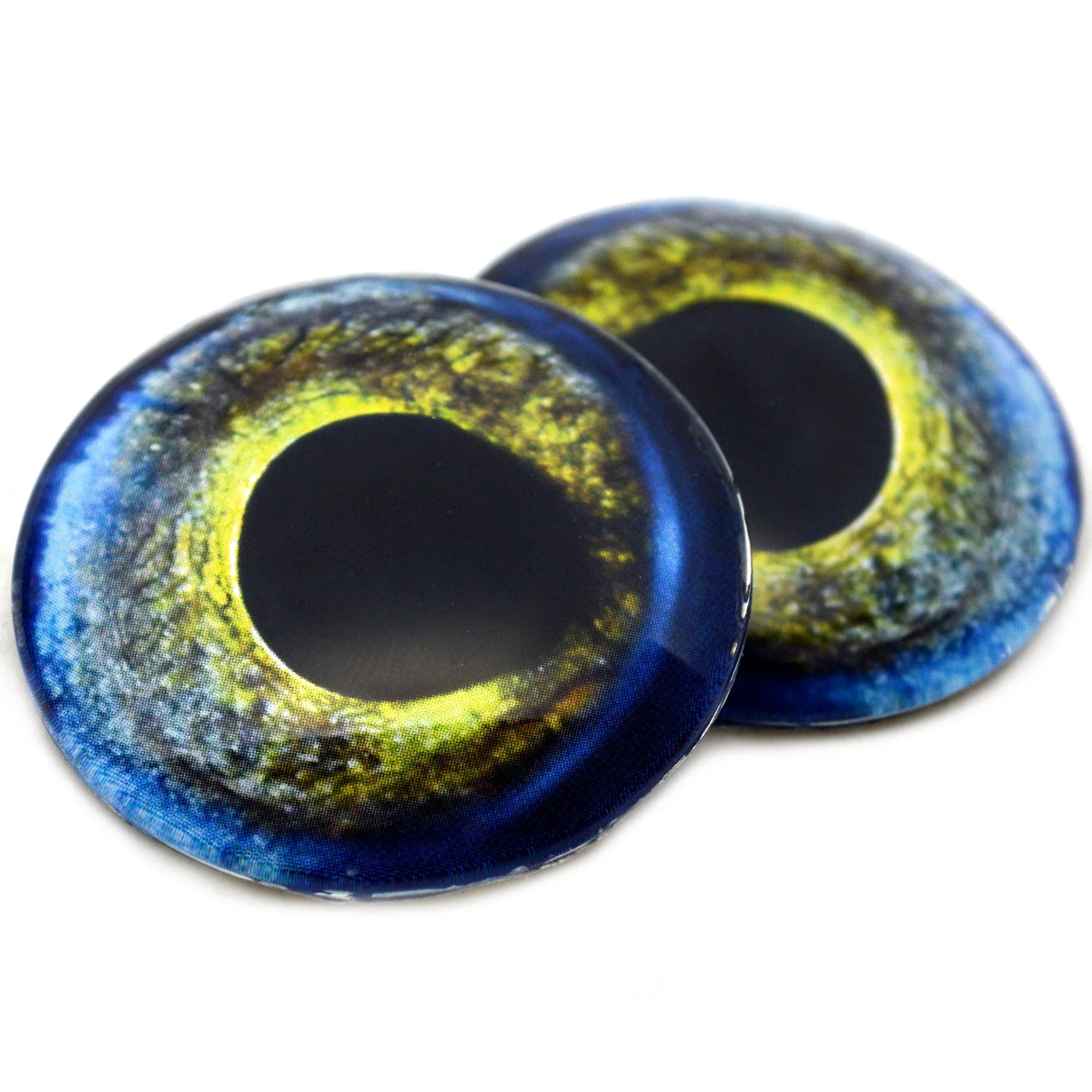 Moray Eel Glass Eyes - Walmart.com