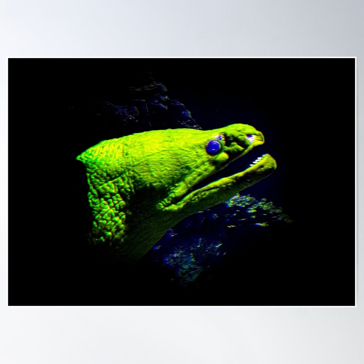 Moray Eel Poster Wall Art, Modern Wall Decor For Living Room Bedroom ...