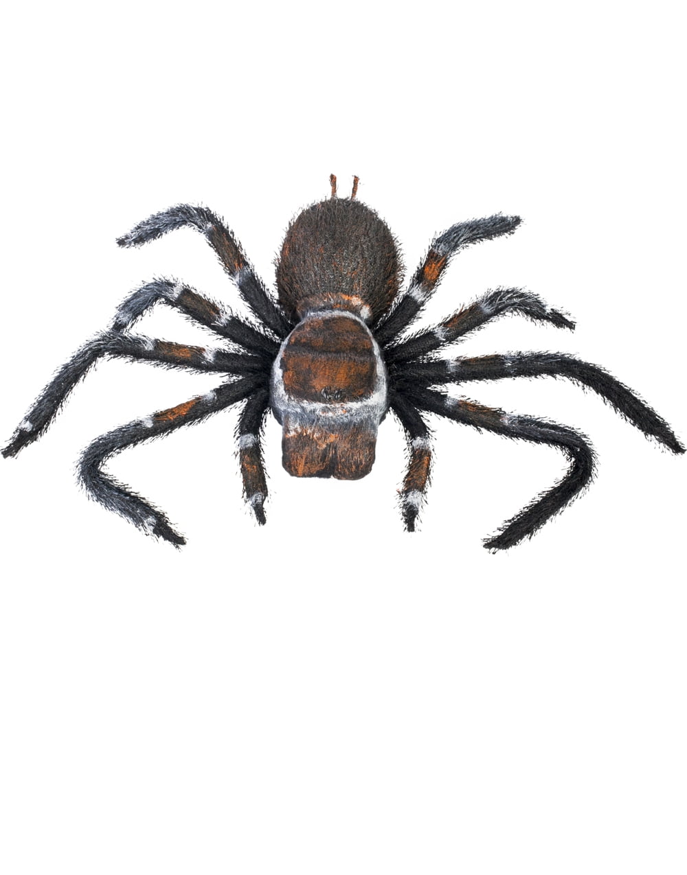 Creepy Crawler Tarantula Spider Prop Halloween Decoration - Walmart.com