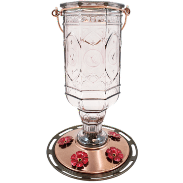 More Birds Big Gulp Hummingbird Feeder, Glass Bottle, 40-oz Nectar ...