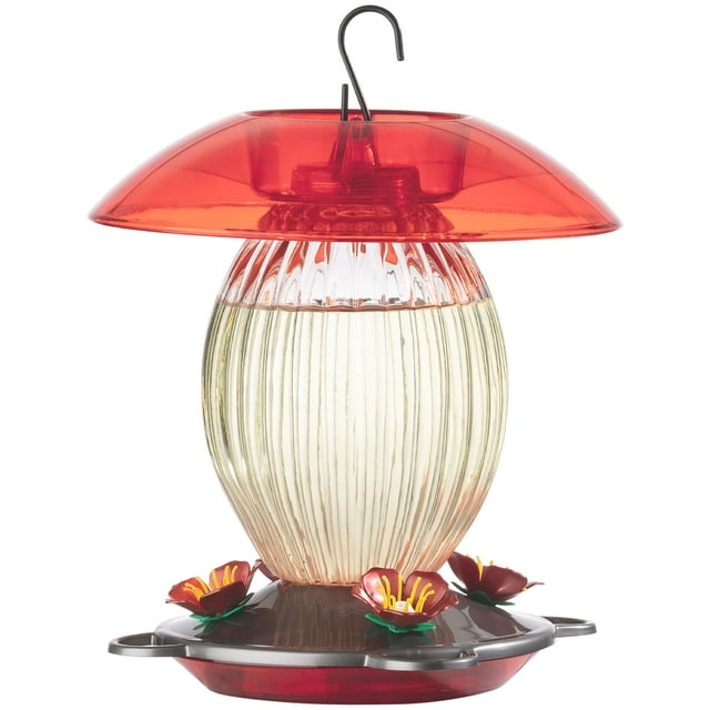 More Birds Jubilee Glass Bottle Hummingbird Feeder, 20 oz Nectar ...