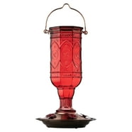More Birds Big Gulp Hummingbird Feeder, Glass Bottle, 40-oz Nectar ...