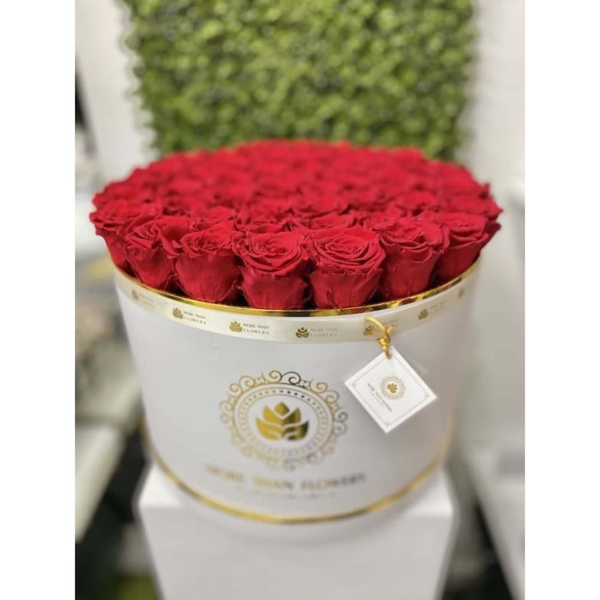 More Than Flowers Magna Round Box Eternal Roses - White Box, Red ...