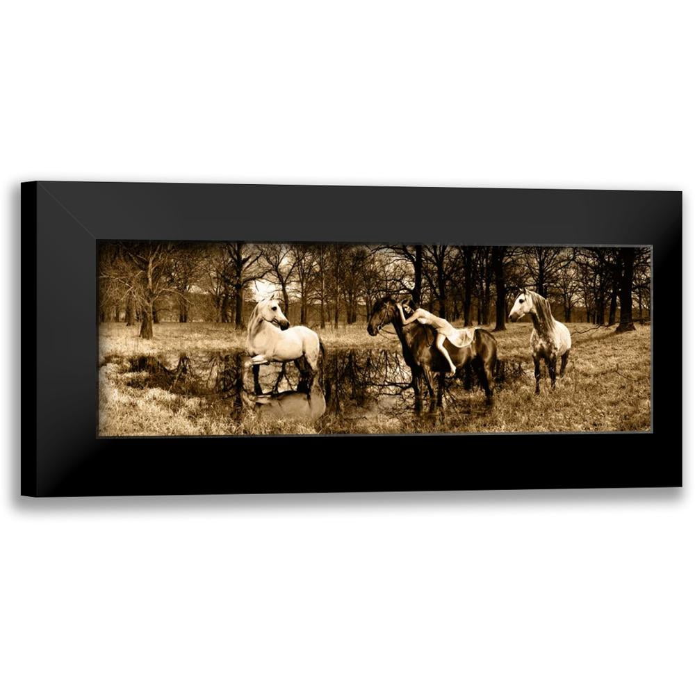 Moreau, Marc 24x11 Black Modern Framed Museum Art Print Titled ...