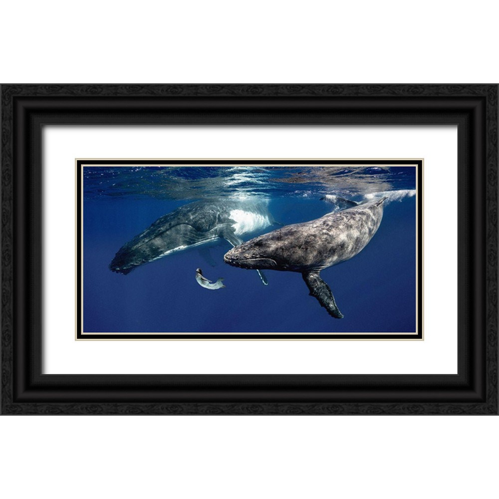 Moreau, Marc 24x14 Black Ornate Wood Framed with Double Matting Museum ...