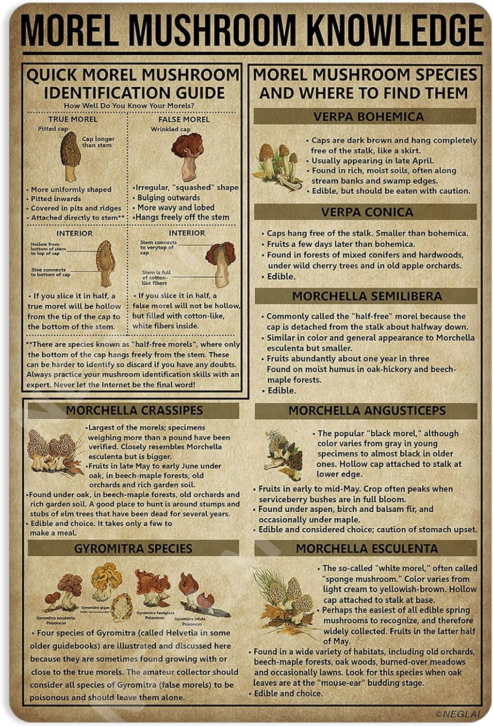 Morel Mushroom Knowledge Metal Tin Signs Poster, Vintage Wall Decor ...