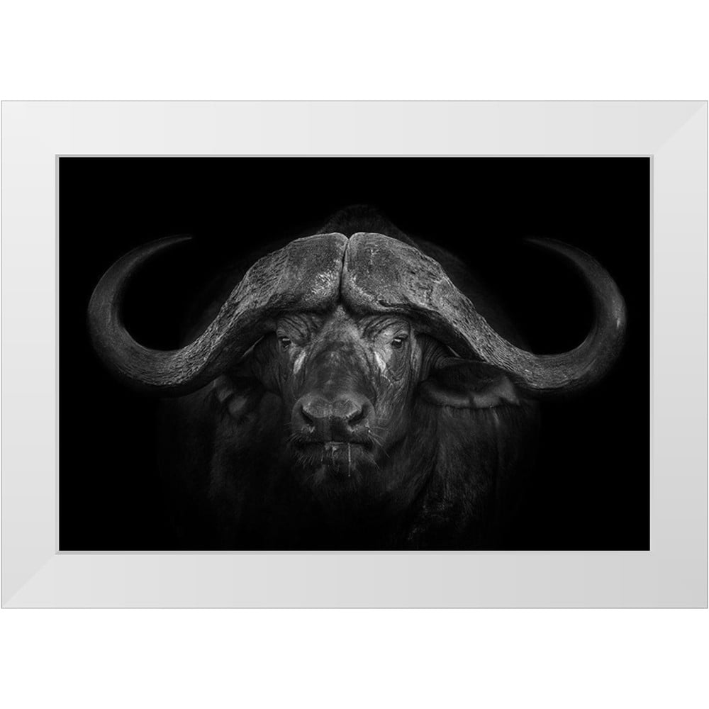 Moreno, Mario 18x13 White Modern Wood Framed Museum Art Print Titled ...