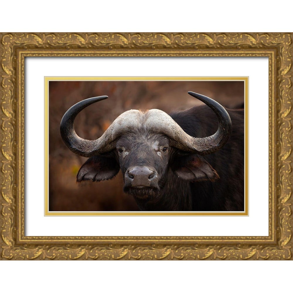 Moreno, Mario 24x17 Gold Ornate Wood Framed with Double Matting Museum ...