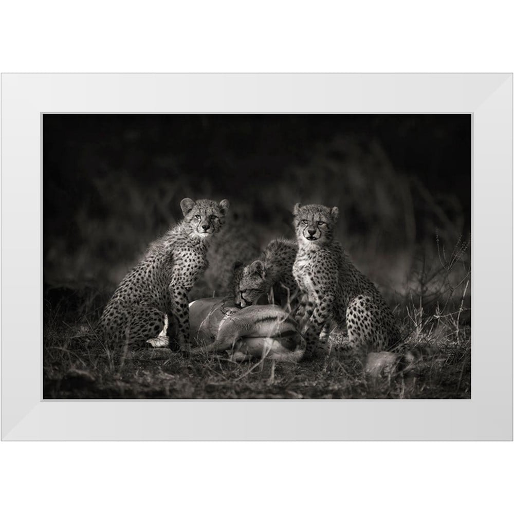 Moreno, Mario 24x17 White Modern Wood Framed Museum Art Print Titled ...