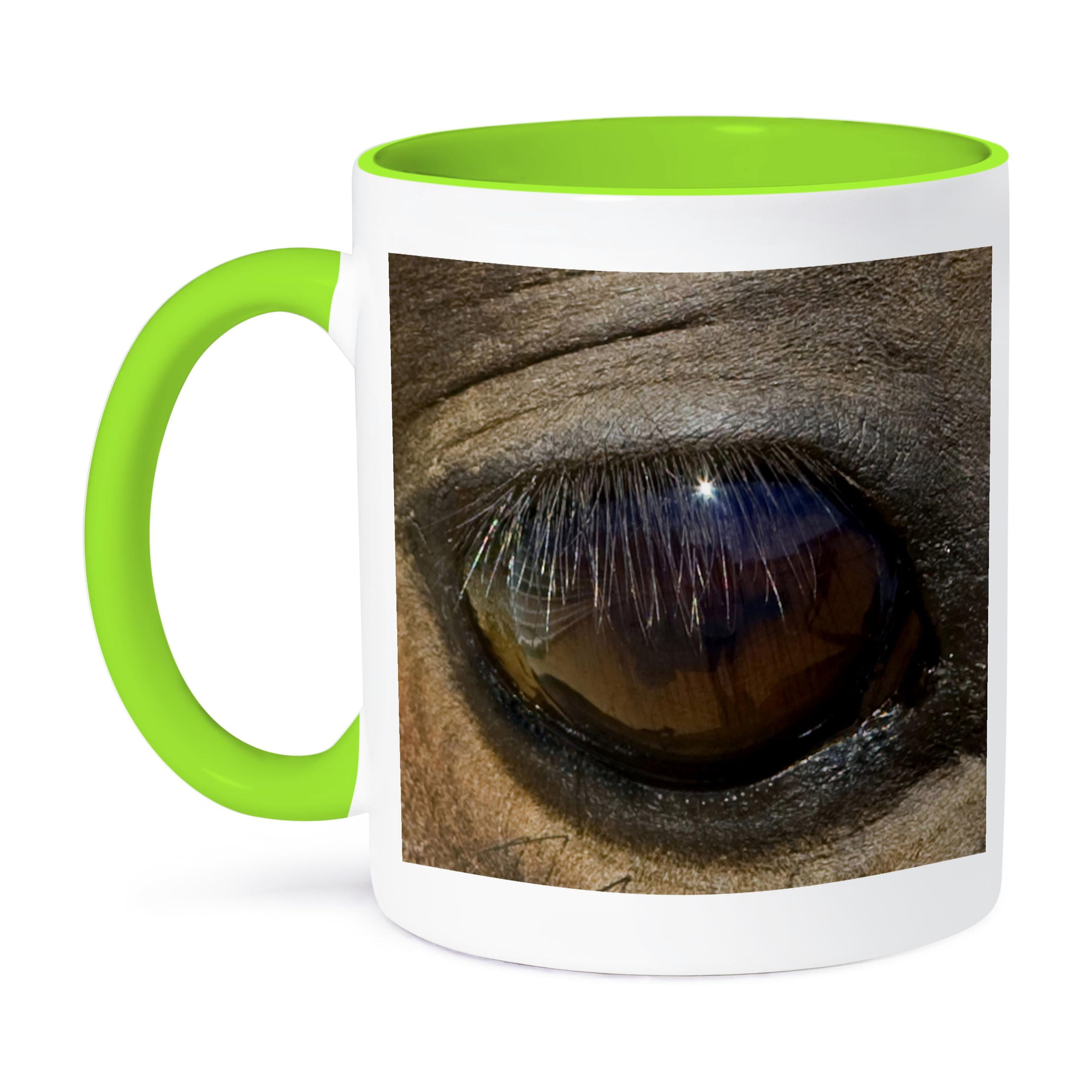 3dRose, Morgan Horse with starburst in eye - NA02 PWO0140 - PiperAnne ...