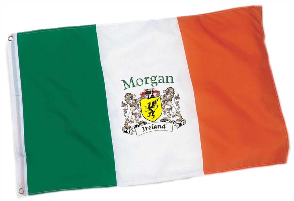 Morgan Irish Coat of Arms Ireland Flag - 3'x5' foot. - Walmart.com