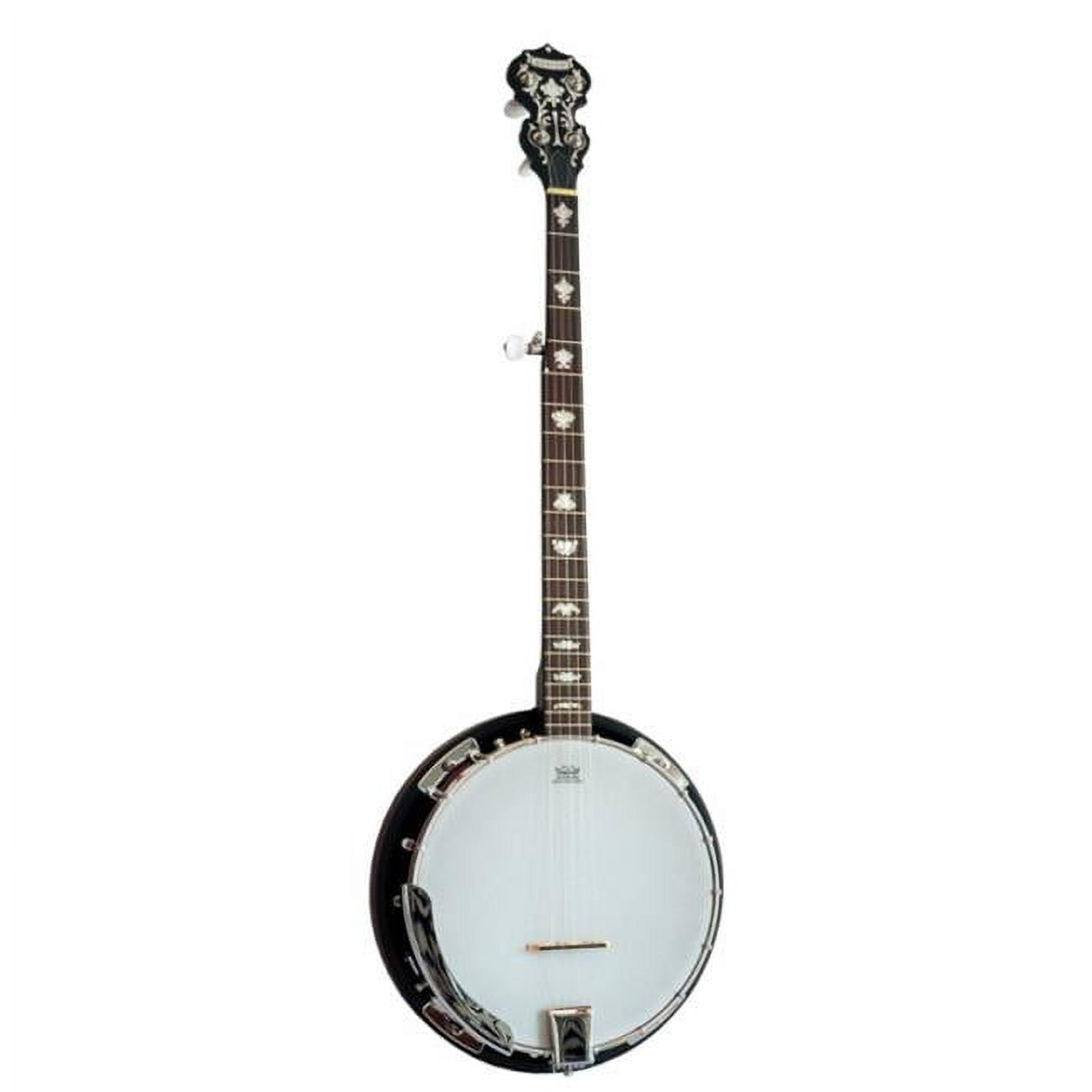 Morgan Monroe RT-B1DX Rocky Top Bingo, Deluxe 18 Bracket Banjo ...