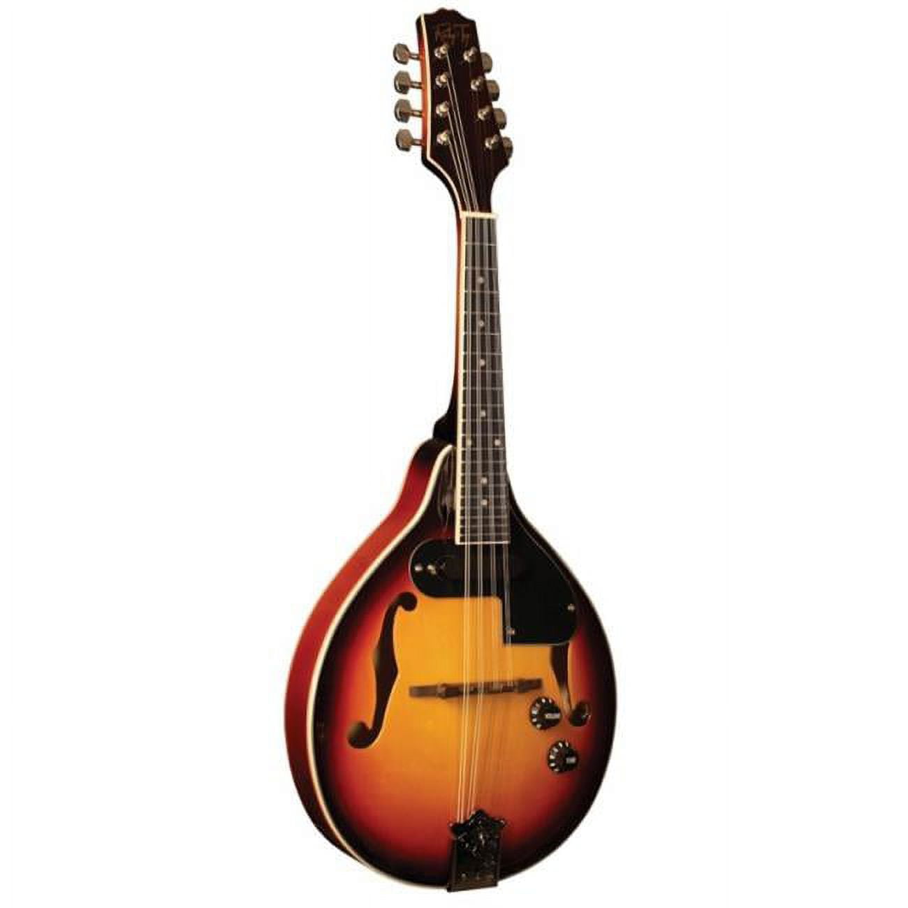 Morgan Monroe RT-M1E Rocky Top A Style Electric Mandolin - Walmart.com