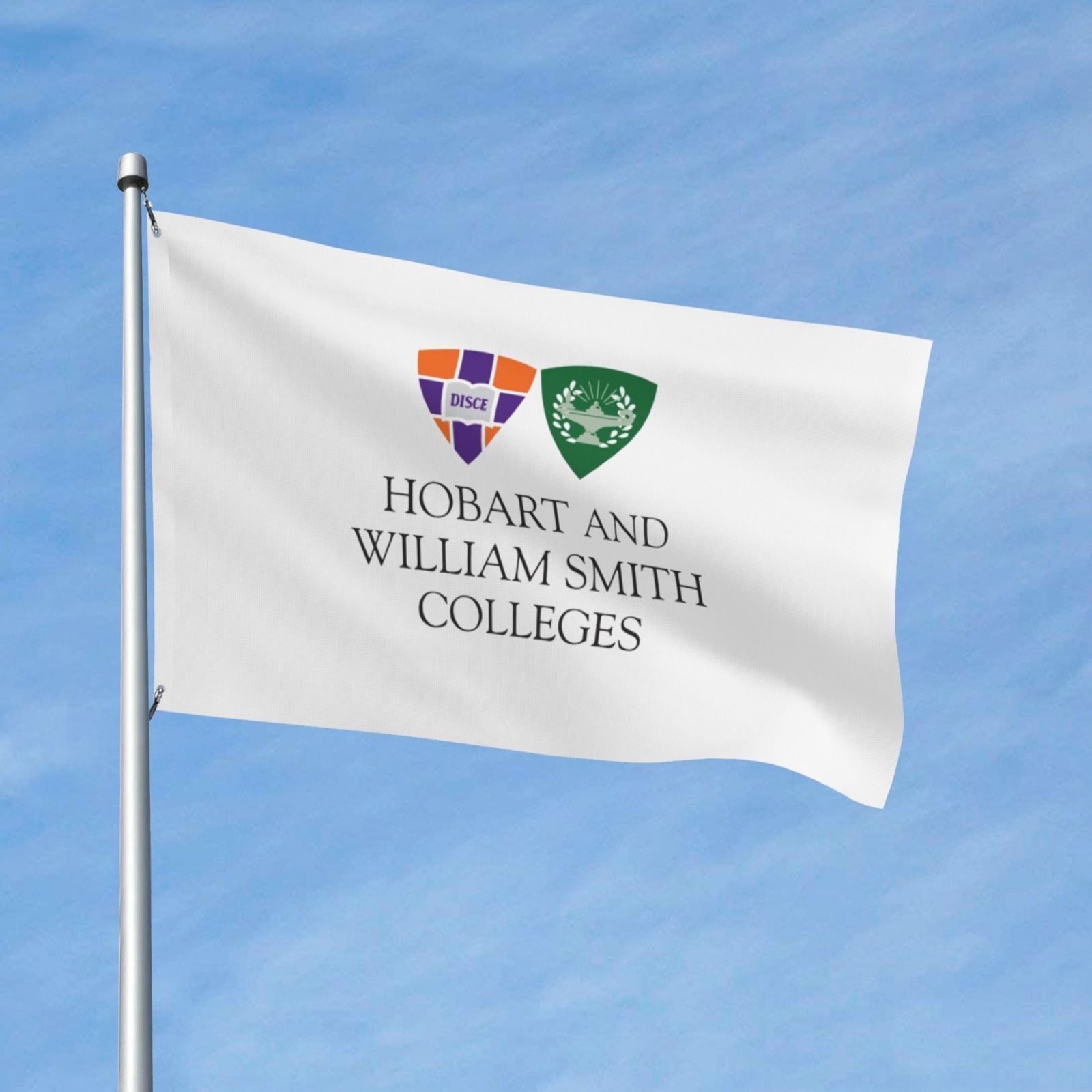 Morgan State University Logo Flag 3x5 Ft Holiday Banner Garden Yard ...