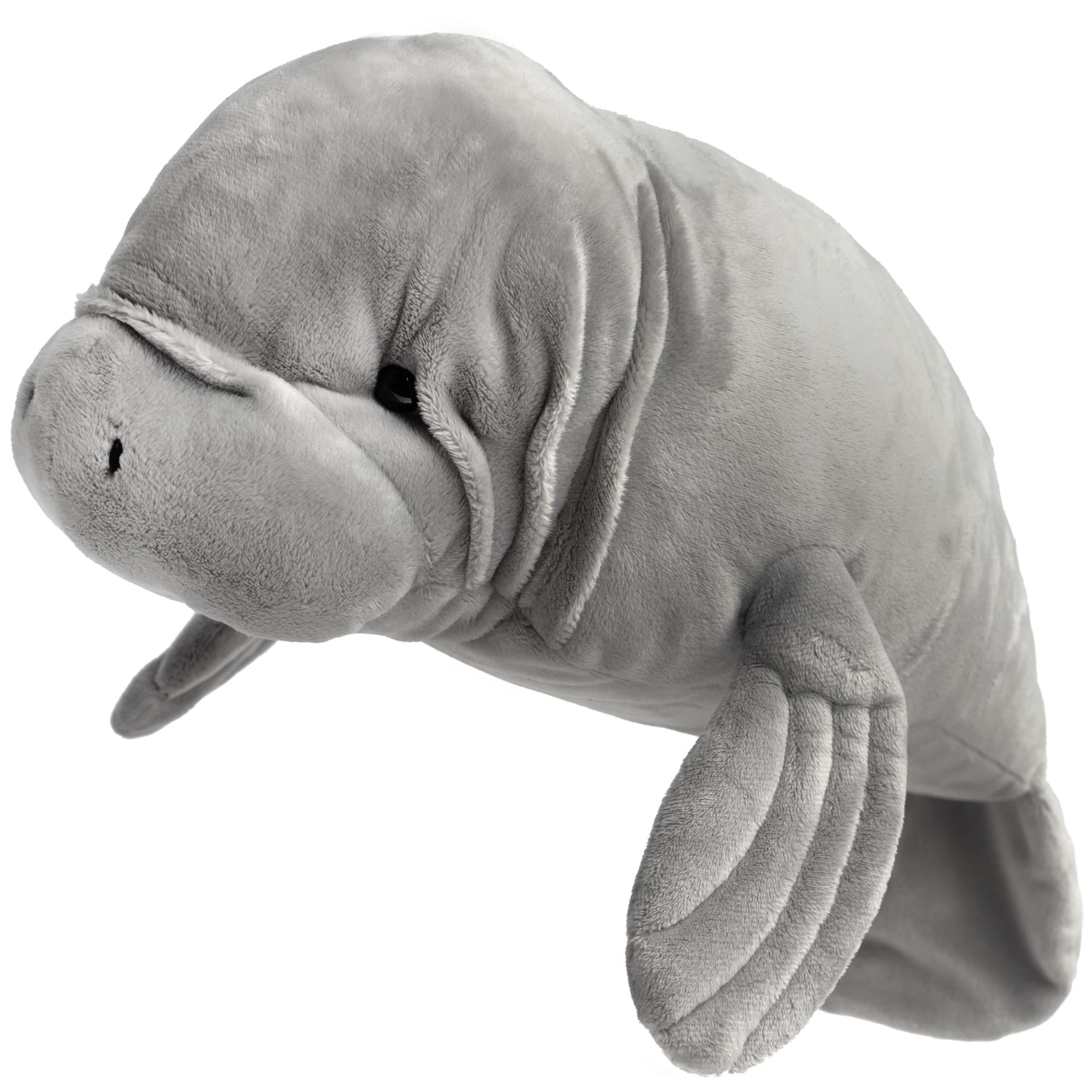 Morgan The Manatee - 21 Inch Stuffed Animal Plush - Walmart.com