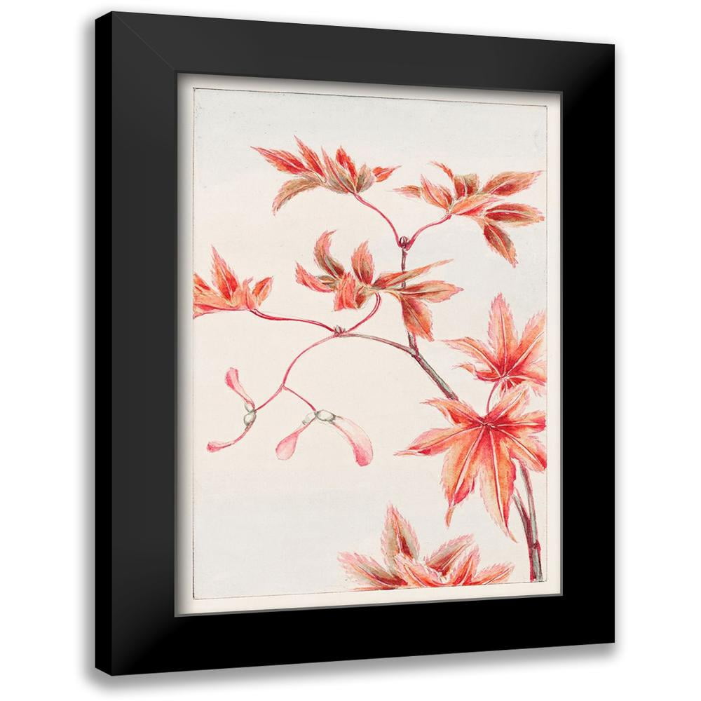 Morikaga, Megata 11x14 Black Modern Framed Museum Art Print Titled ...