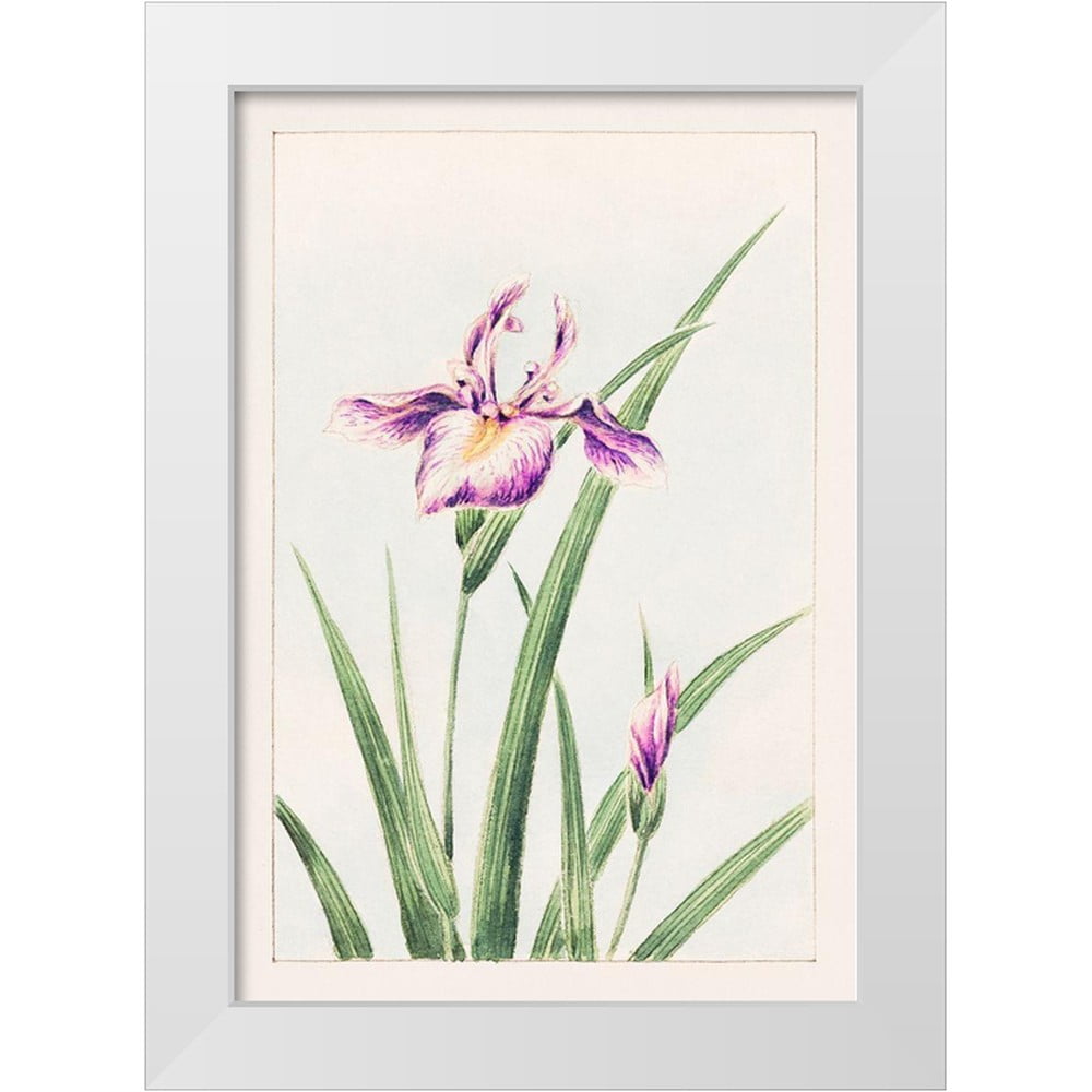 Morikaga, Megata 23x32 White Modern Wood Framed Museum Art Print Titled ...