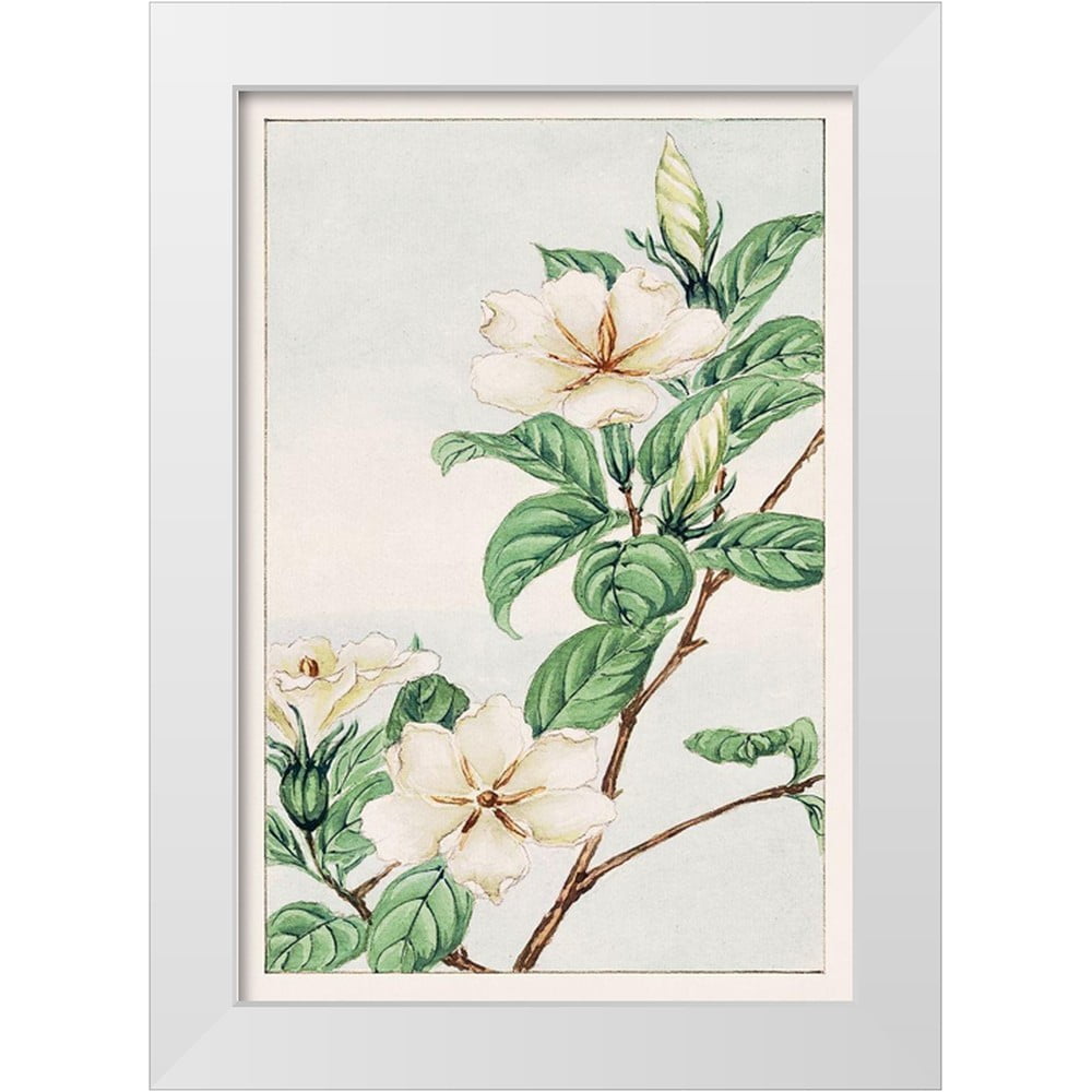 Morikaga, Megata 23x32 White Modern Wood Framed Museum Art Print Titled - Kuchi nashi or cape ...