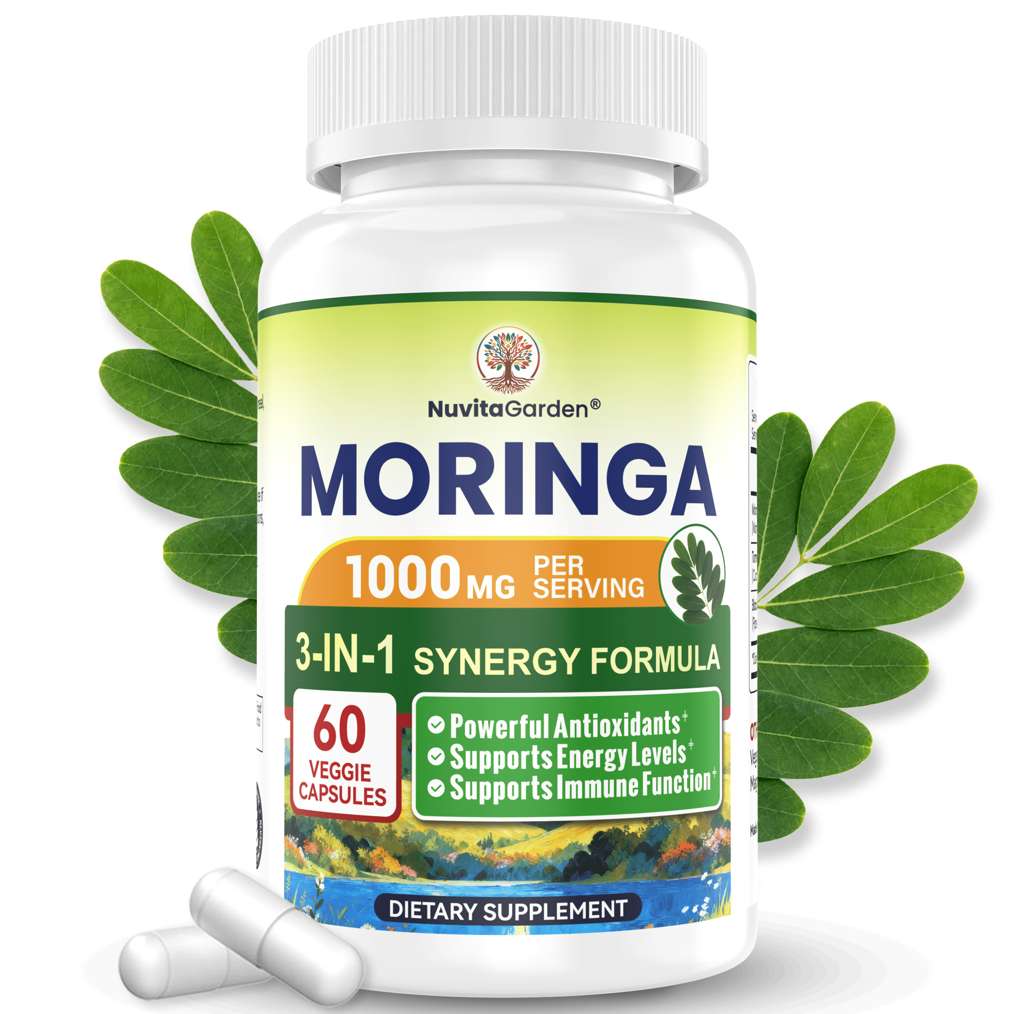 Moringa Capsules 1000mg, 60 Moringa Pure Capsules For Energy, Immune ...