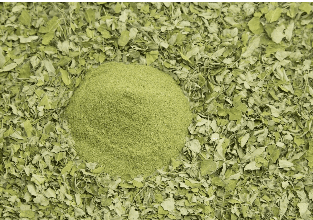Moringa Leaves 2 oz. Whole Dried Natural oleifera Leaf Hoja de moringa ...