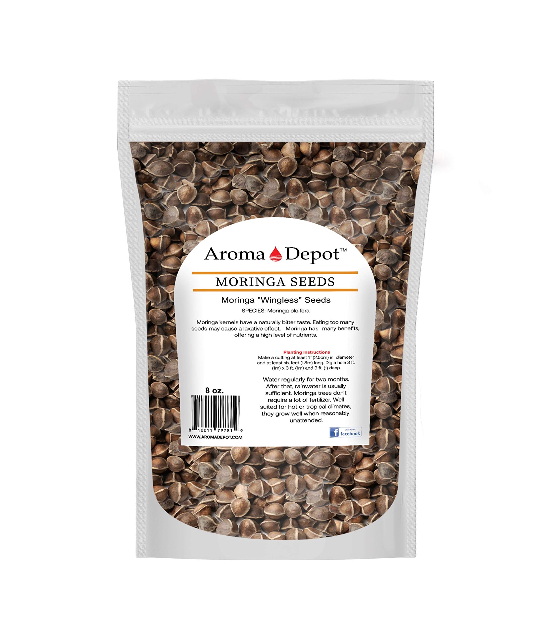 Moringa Seeds 8 oz. (Approx. 800) BSL1 WINGLESS Sun-Dried, PKM1, 100% ...